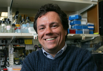 Scott William Lowe | American Academy of Arts and Sciences