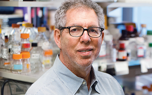 Jeffrey M. Friedman | American Academy of Arts and Sciences