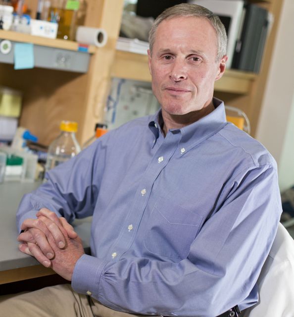 David Gilliam Schatz | American Academy of Arts and Sciences