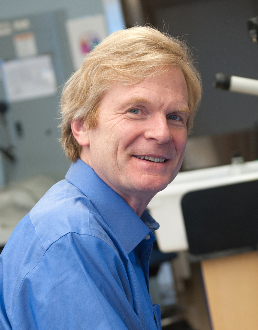 Christopher A. Walsh | American Academy of Arts and Sciences
