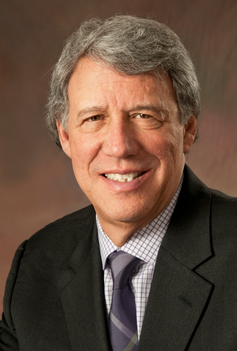 Geoffrey Richard Stone | American Academy of Arts and Sciences