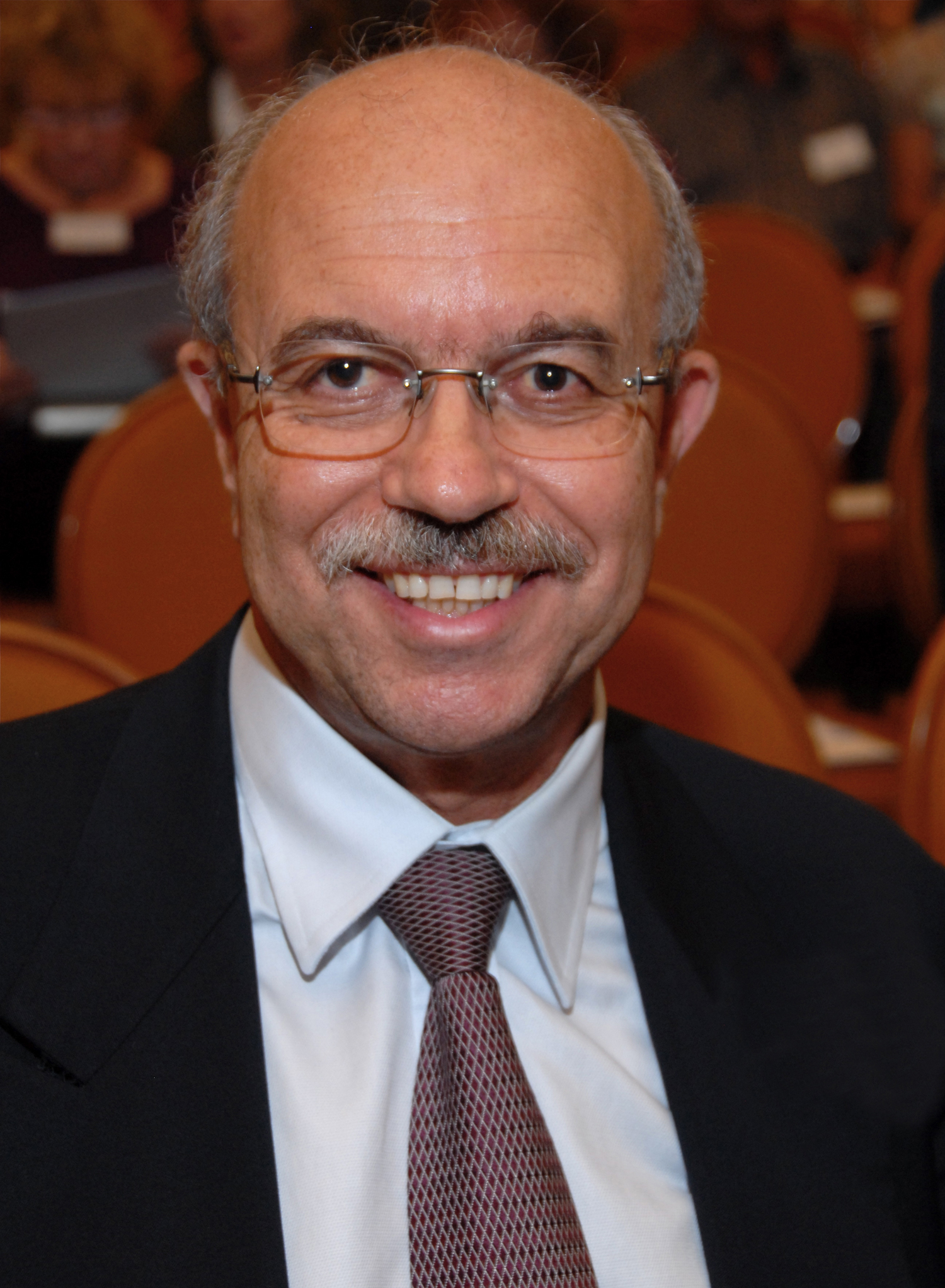 Kyriacos Costa Nicolaou | American Academy of Arts and Sciences