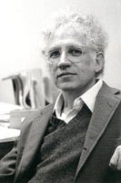 Howard Schuman | American Academy of Arts and Sciences