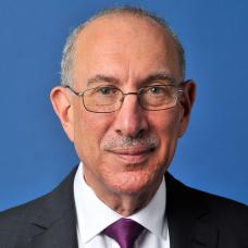 Robert M. Greenstein | American Academy of Arts and Sciences