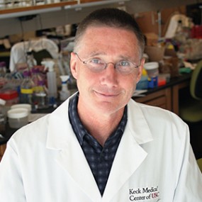 Andrew P. McMahon | American Academy of Arts and Sciences