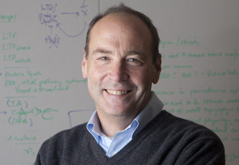 Mark Firman Bear | American Academy of Arts and Sciences