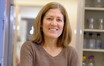 Nancy A. Moran | American Academy of Arts and Sciences