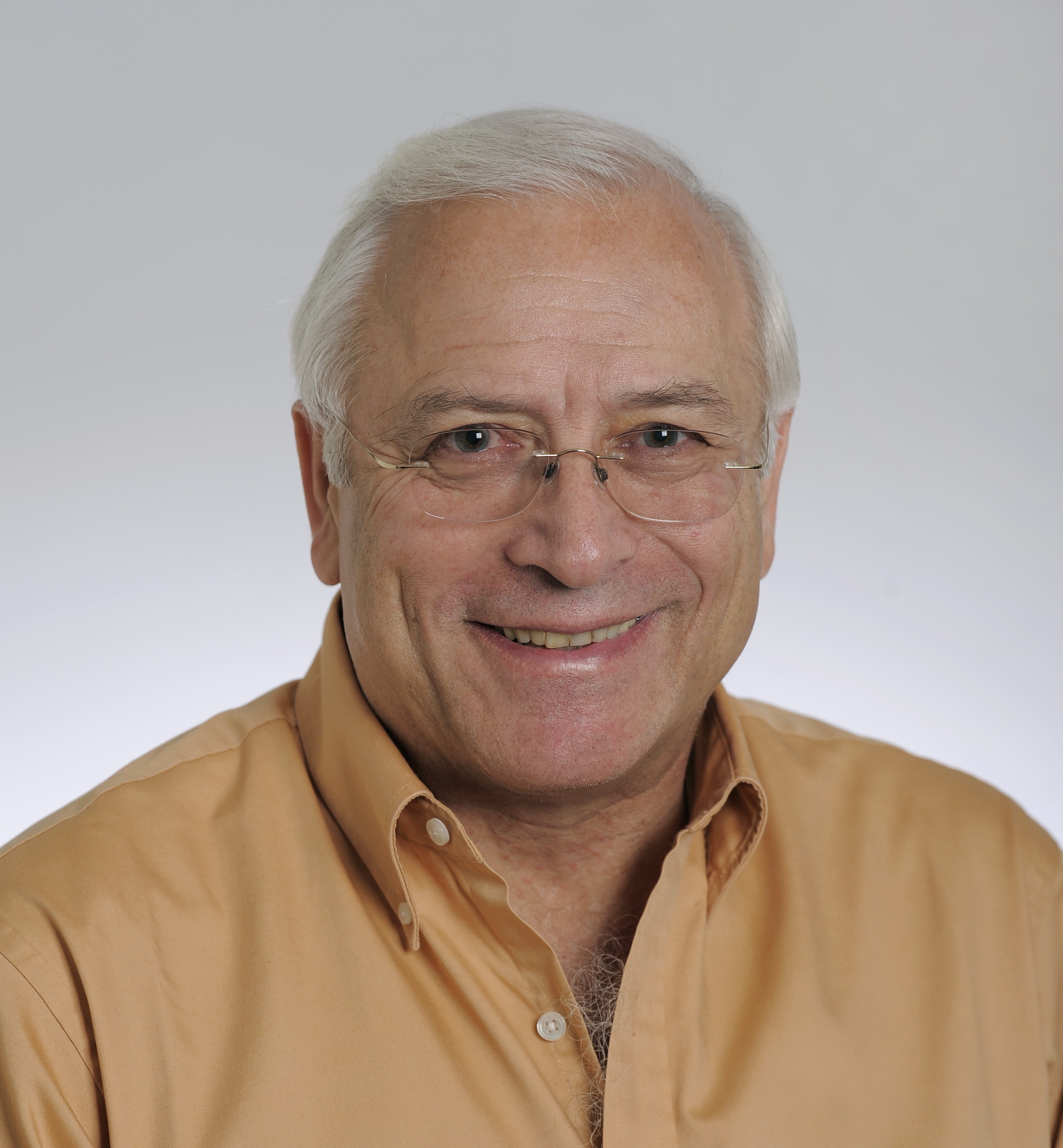 Stephen Elliott Fienberg | American Academy of Arts and Sciences