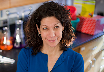 Bonnie Lynn Bassler | American Academy of Arts and Sciences