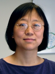 Junying Yuan | American Academy of Arts and Sciences