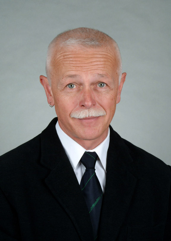 Karl J. Niklas | American Academy of Arts and Sciences