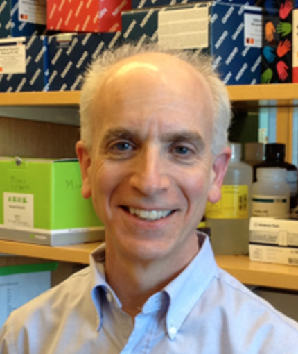 Fred M. Winston | American Academy of Arts and Sciences