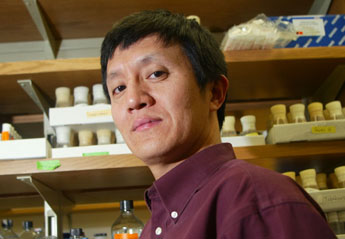 Liqun Luo | American Academy of Arts and Sciences