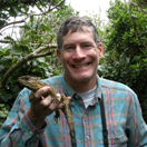 Jonathan B. Losos | American Academy of Arts and Sciences