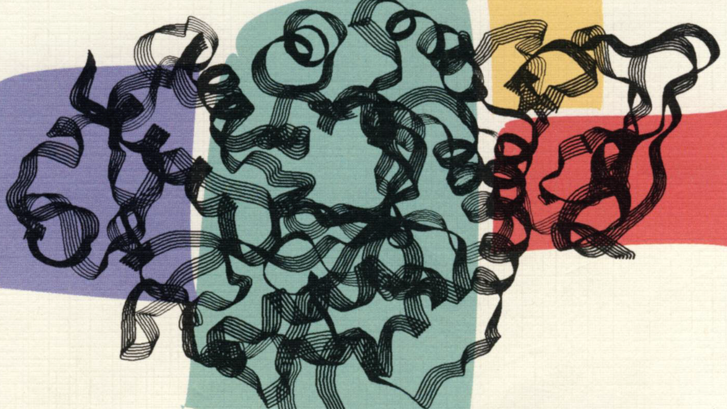 Science in Culture | American Academy of Arts and Sciences