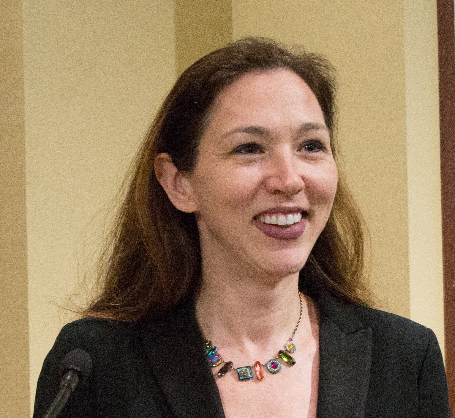 Gabriella Blum | American Academy of Arts and Sciences