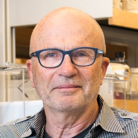 Clifford J. Woolf | American Academy of Arts and Sciences