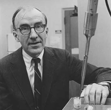 Edward Wilson Merrill | American Academy of Arts and Sciences