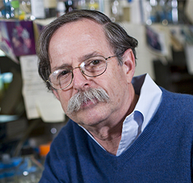 Arthur L. Horwich | American Academy of Arts and Sciences