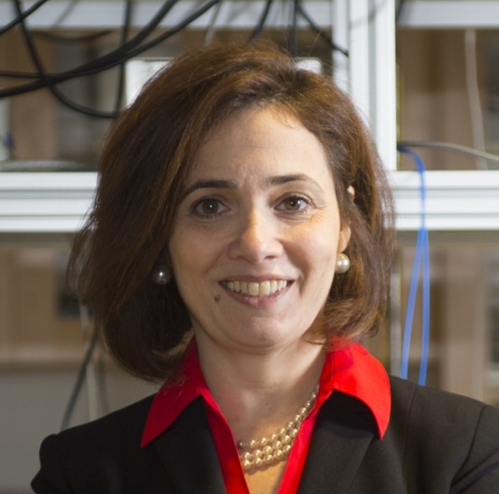 Michal Lipson | American Academy of Arts and Sciences