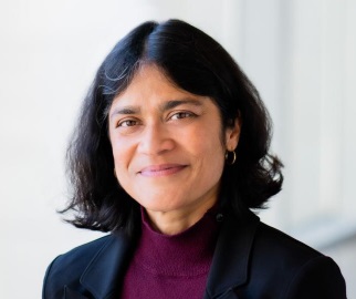 Geeta J. Narlikar | American Academy of Arts and Sciences