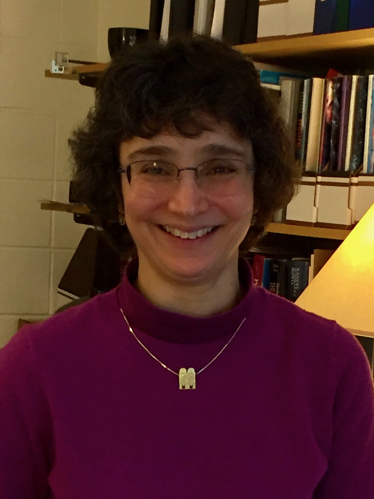 Indira M. Raman | American Academy of Arts and Sciences