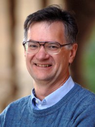 Stephen Stedman | American Academy of Arts and Sciences