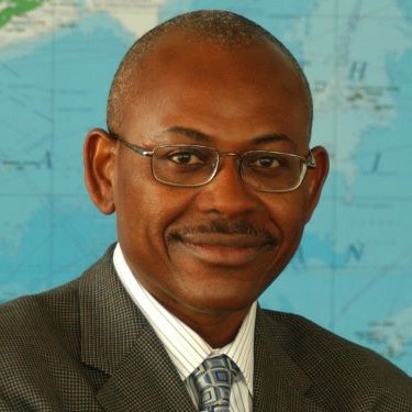 Charles N. Rotimi | American Academy of Arts and Sciences