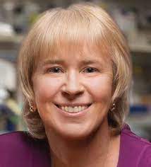 Beverly Marie Emerson | American Academy of Arts and Sciences