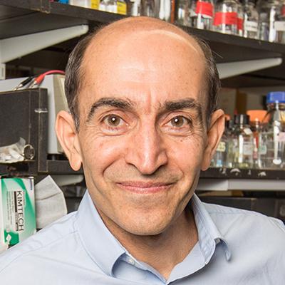 Danesh Sabi Moazed | American Academy of Arts and Sciences