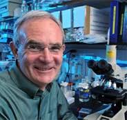 Terry Magnuson | American Academy of Arts and Sciences