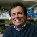 Scott William Lowe | American Academy of Arts and Sciences