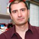 Bernardo Luis Sabatini | American Academy of Arts and Sciences