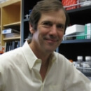 Raymond J. Deshaies | American Academy of Arts and Sciences