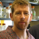 Tom W. Muir | American Academy of Arts and Sciences