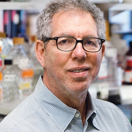 Jeffrey M. Friedman | American Academy of Arts and Sciences