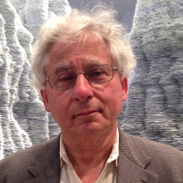 Paul J. DiMaggio | American Academy of Arts and Sciences