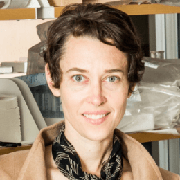 Jennifer Elisseeff | American Academy of Arts and Sciences