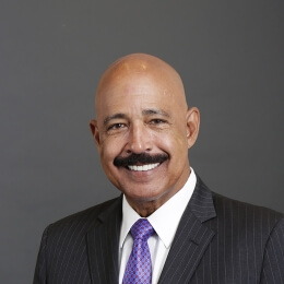 Theodore V. Wells, Jr. | American Academy of Arts and Sciences