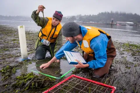 Scientific Research Climate Change | American Academy of Arts and Science