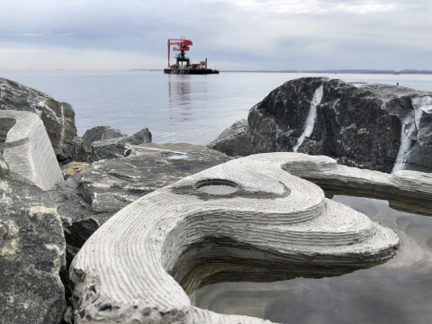 Living Breakwaters: Using green infrastructure to build resilience ...