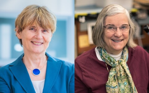 Honoring Ruth Lehmann and Gertrud Schüpbach | American Academy of Arts ...