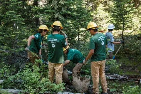 Americas Service Commissions | National Service Article